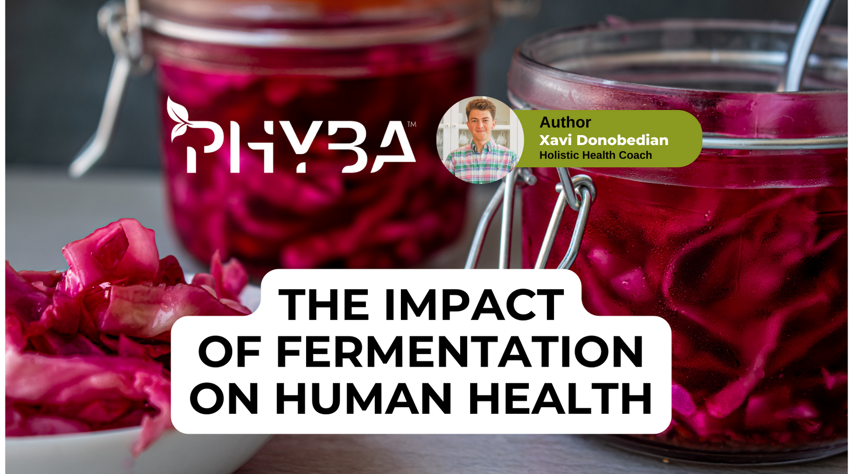 “Ment” To Be: How Fermentation Positively Impacts Human Physiology – Phyba