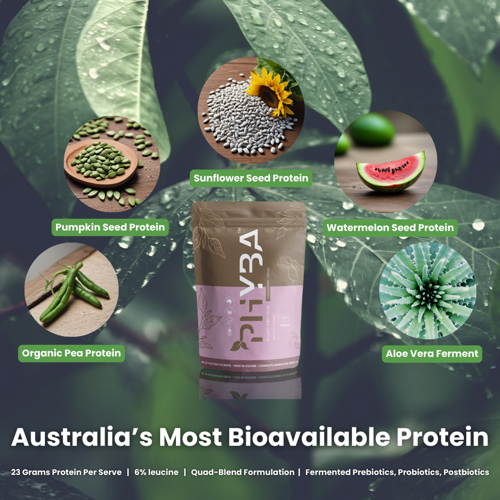 PHYBA™ - Gut Friendly Plant Proteins & Nutrient Dense Supplements – Phyba
